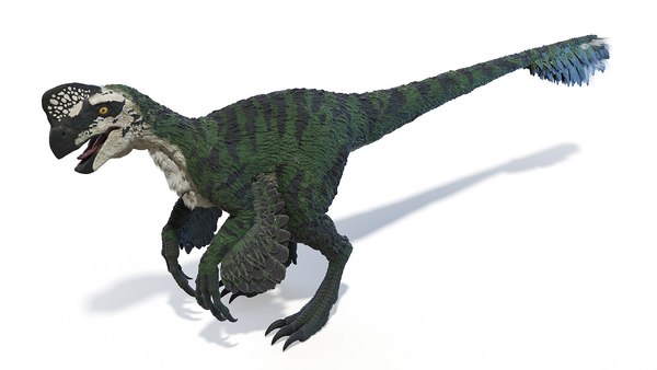 Oviraptor Static 3D model - TurboSquid 1900444