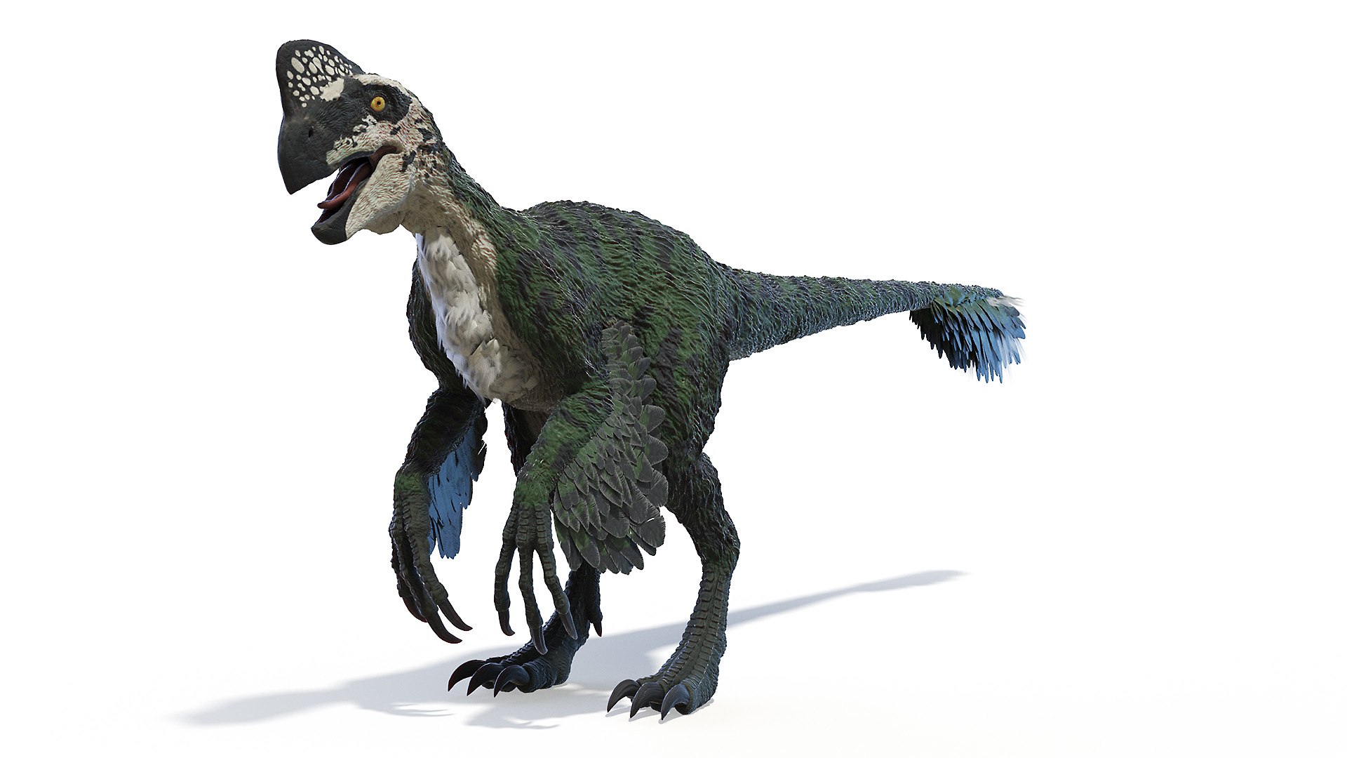 Oviraptor Static 3D Model - TurboSquid 1900444