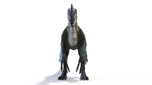 Oviraptor Static 3D model - TurboSquid 1900444