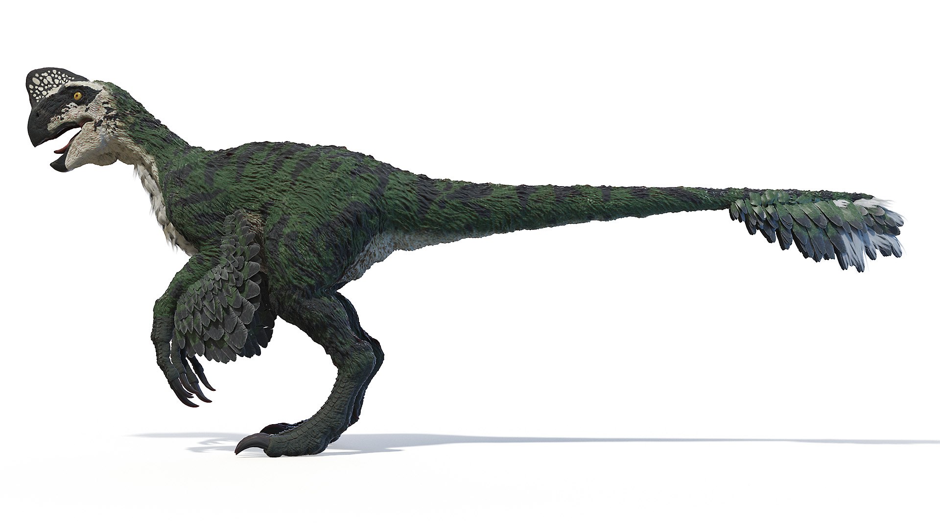 Oviraptor Static 3D Model - TurboSquid 1900444