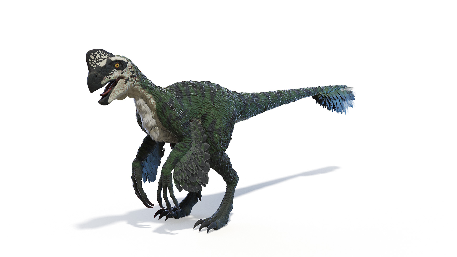 Oviraptor Static 3D Model - TurboSquid 1900444