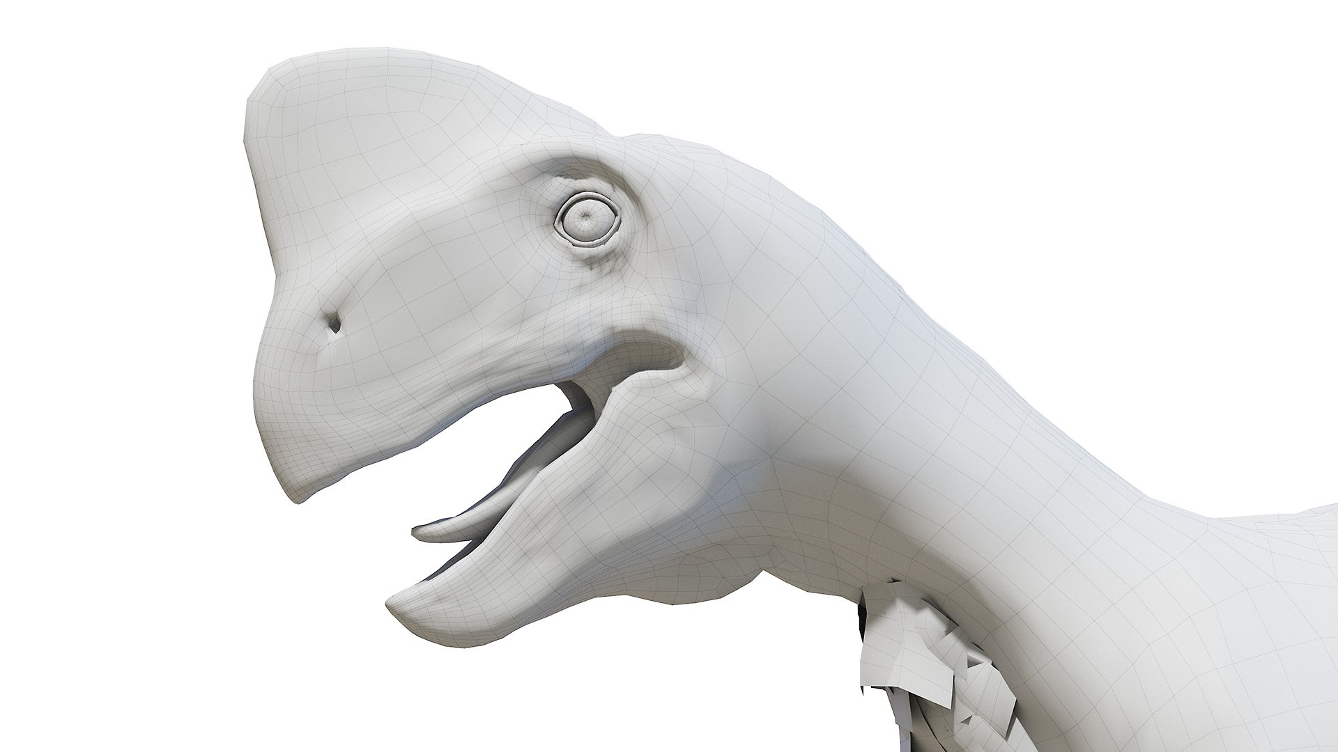 Oviraptor Static 3D Model - TurboSquid 1900444