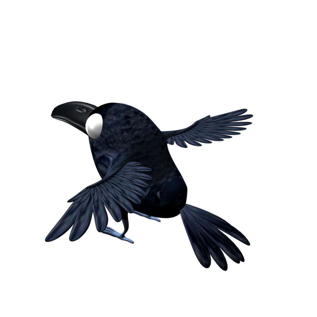 3d Crow Bird Model