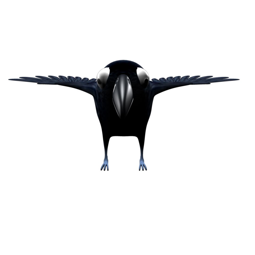 3d Crow Bird Model