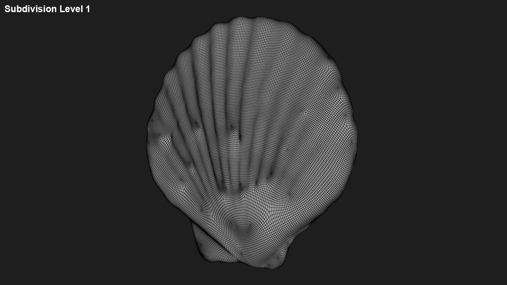 Argopecten Gibbus 3D - TurboSquid 2137680