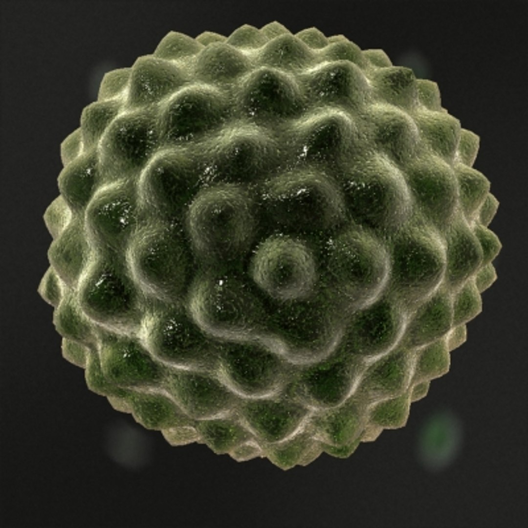 Pollen Cell Microscopic 3d Model