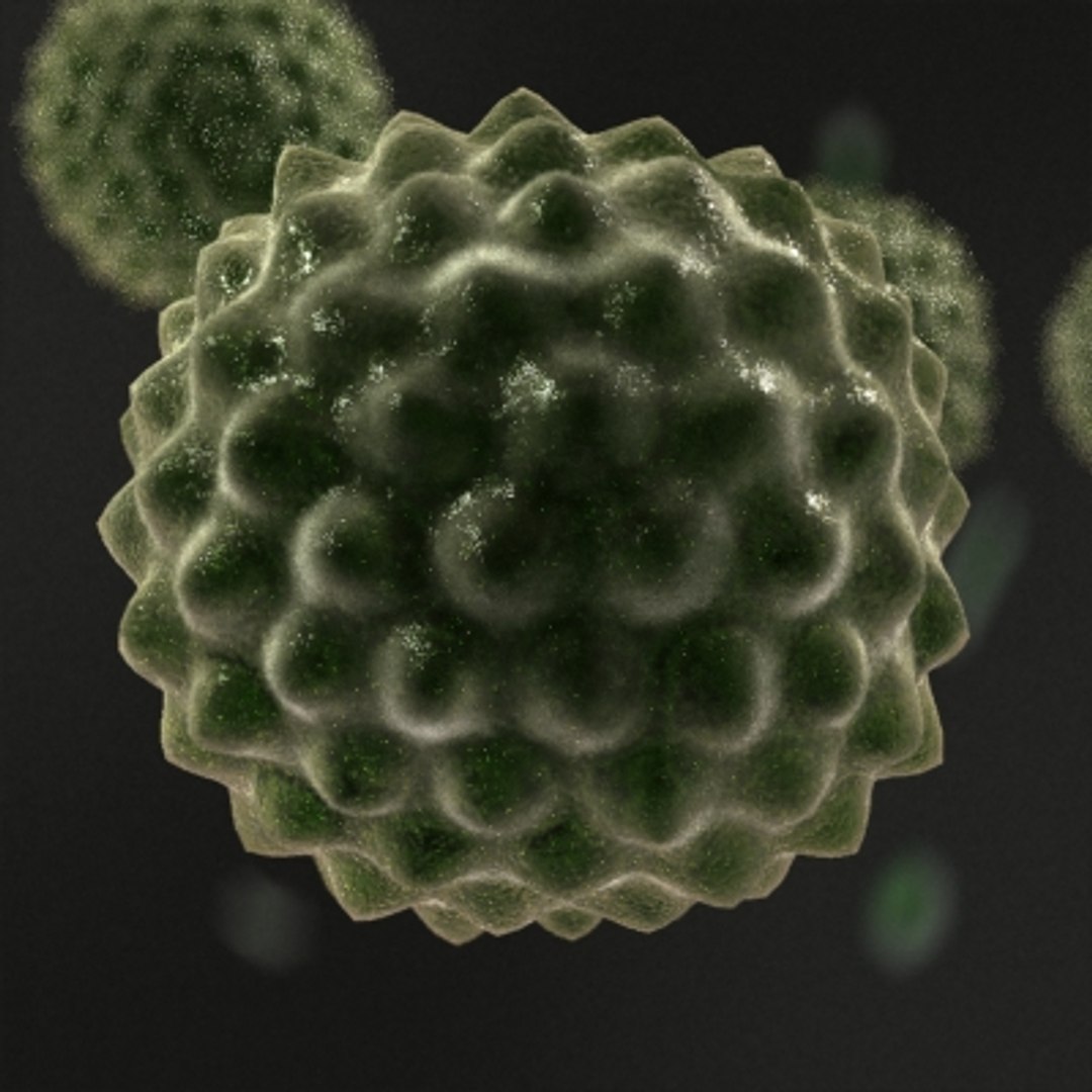 Pollen Cell Microscopic 3d Model