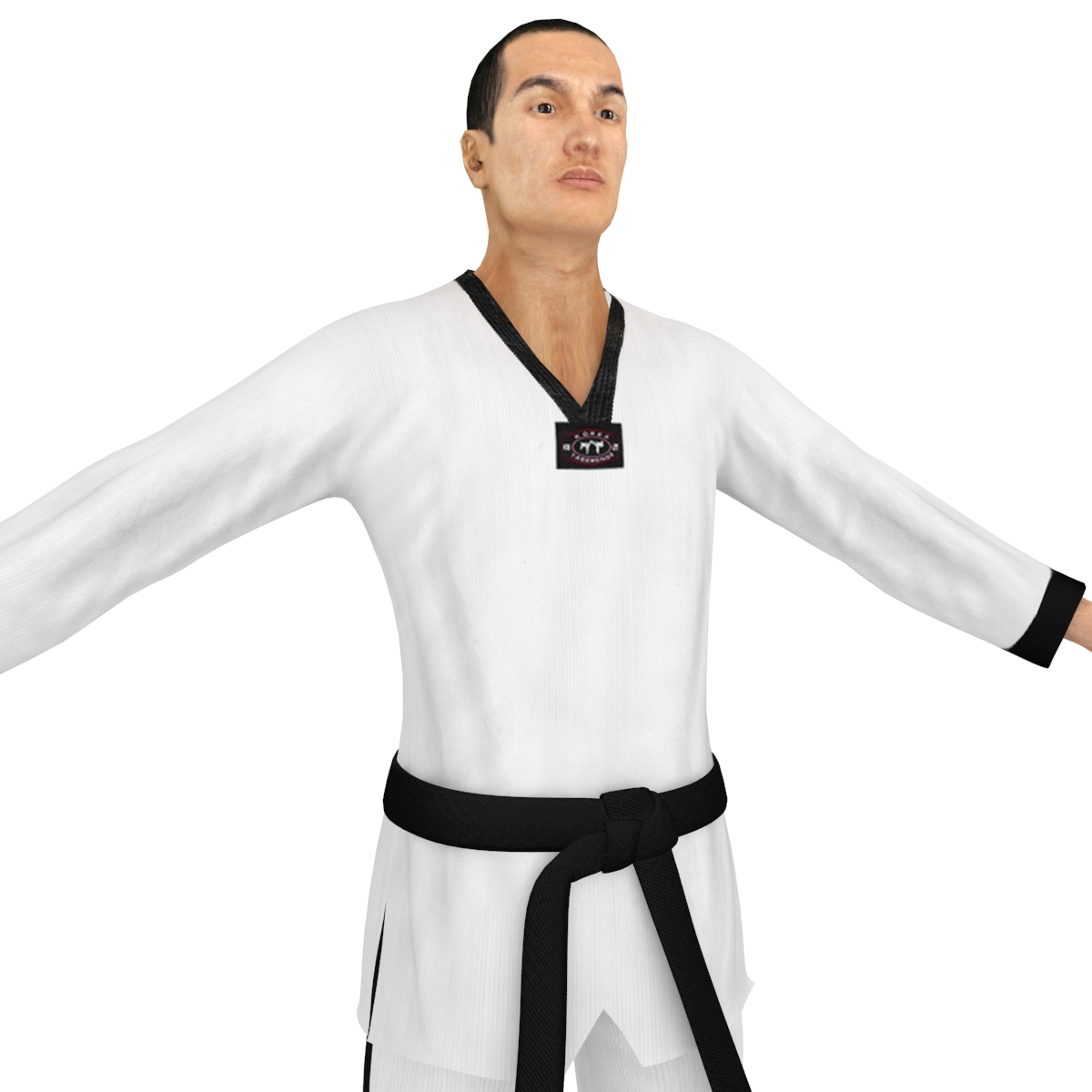 Taekwondo martial artist model - TurboSquid 1292290