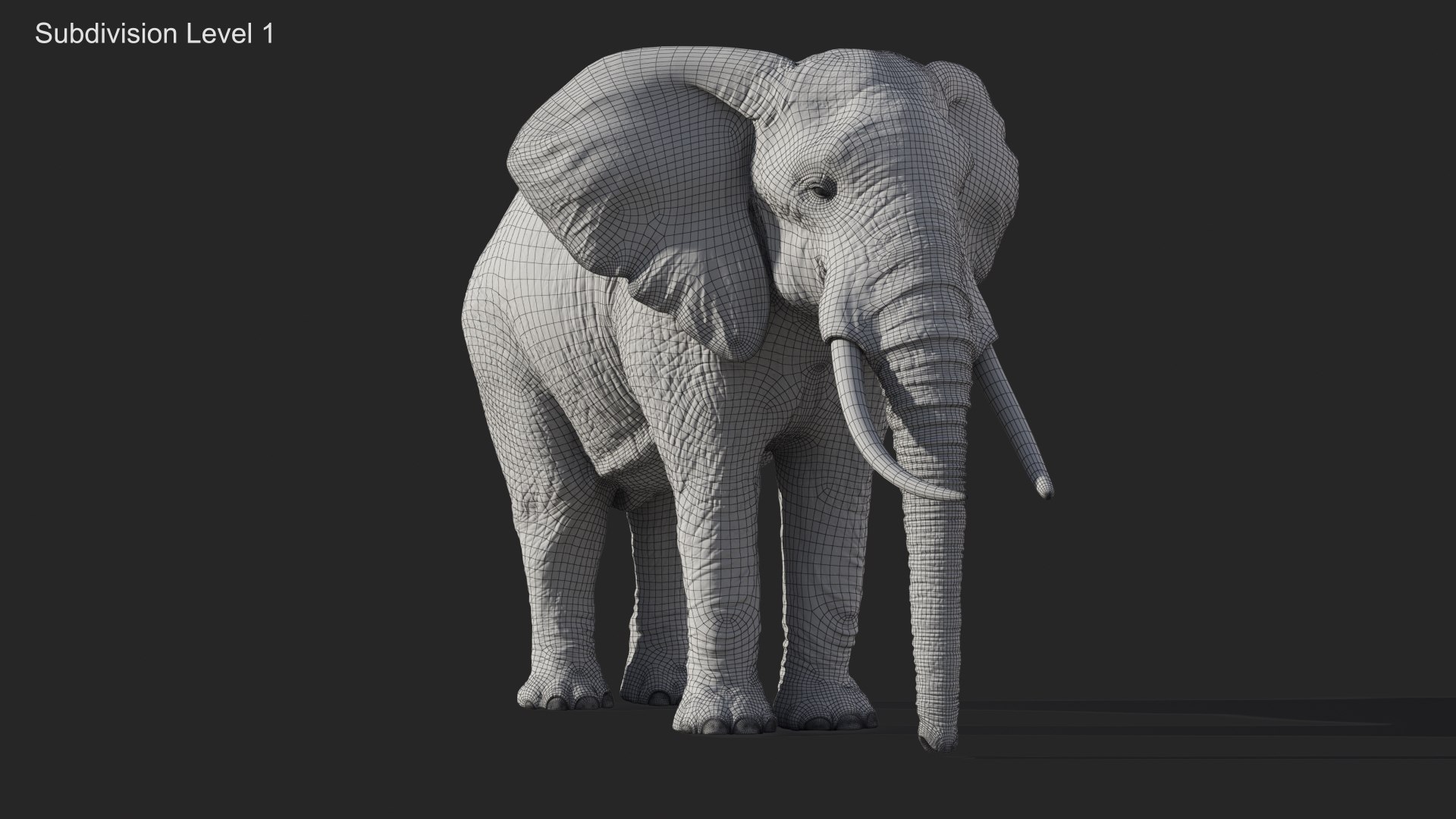 Elephant African Animated model - TurboSquid 1993007