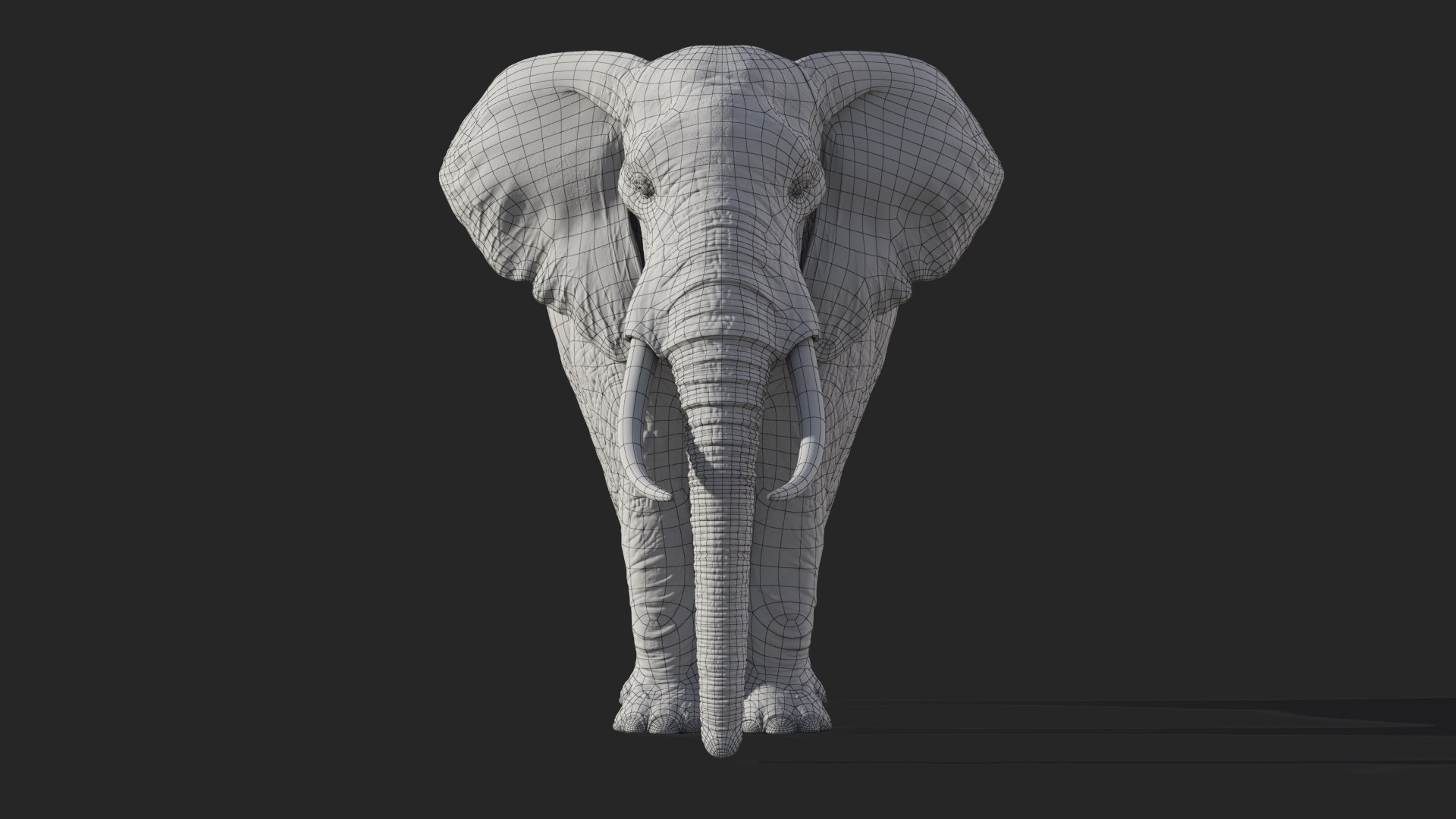 Elephant African Animated model - TurboSquid 1993007