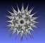 spherical diatom 3d 3ds