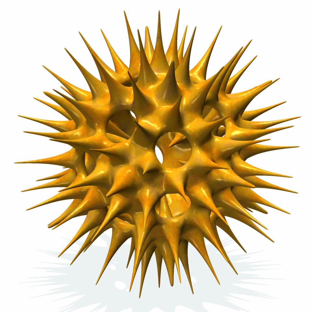 Spherical Diatom 3d 3ds