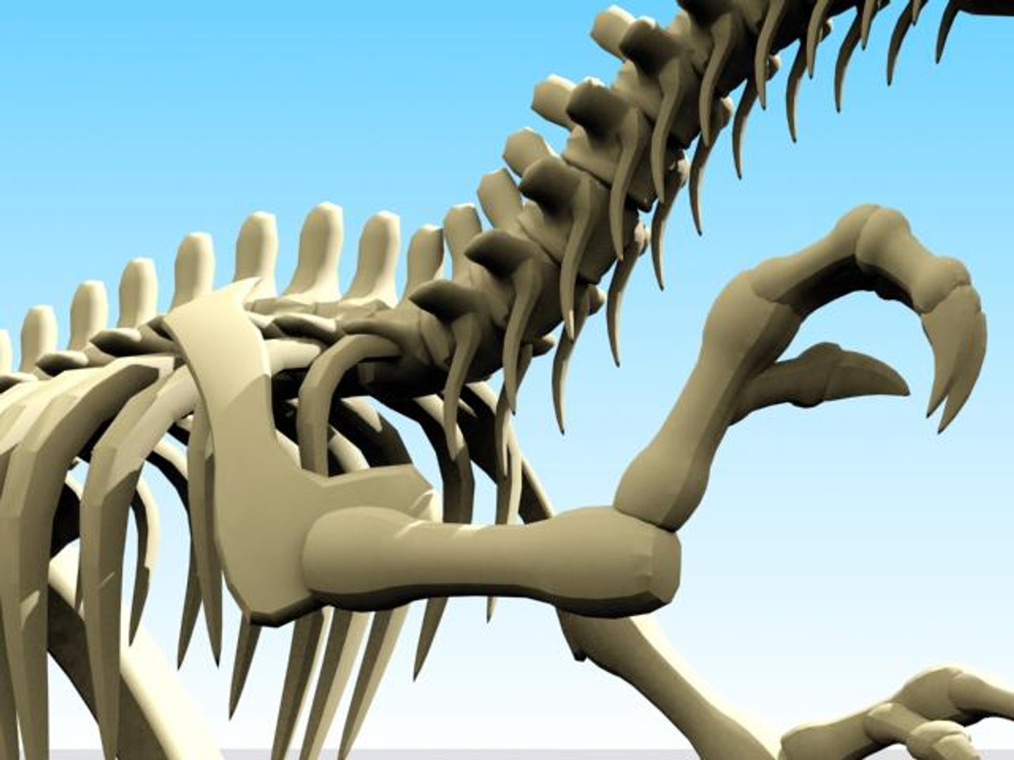 Skeleton Dino Skelet 3d Max