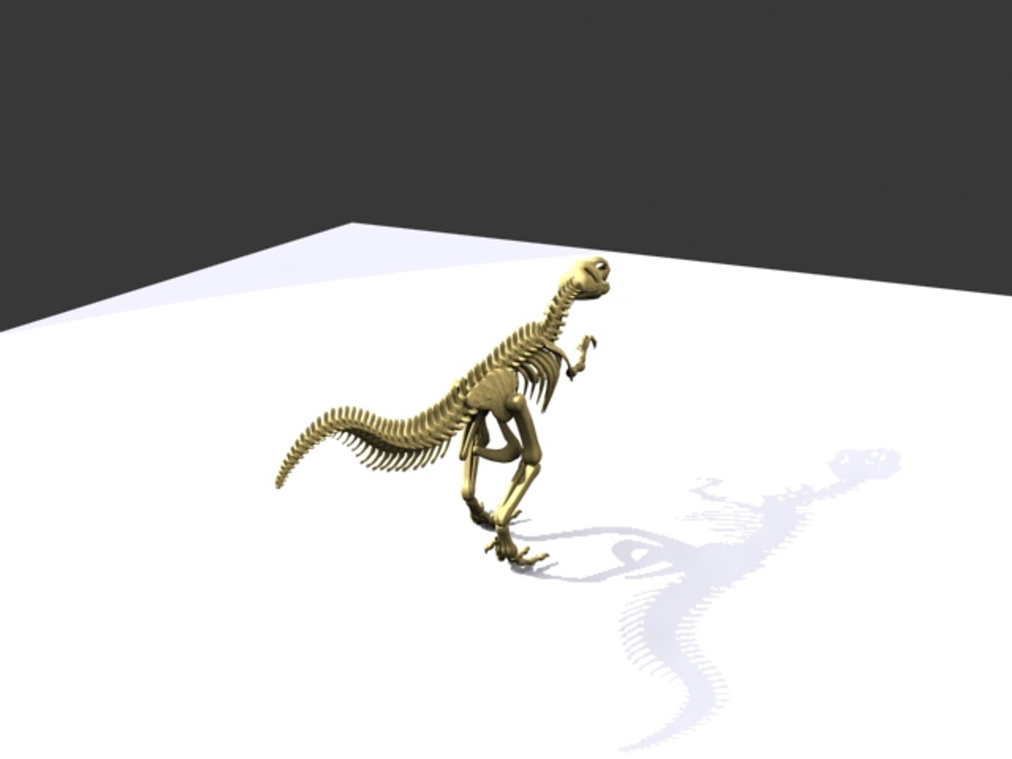 Skeleton Dino Skelet 3d Max