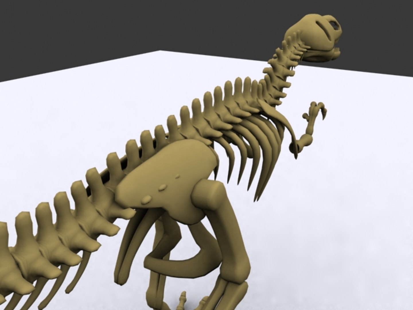 Skeleton Dino Skelet 3d Max