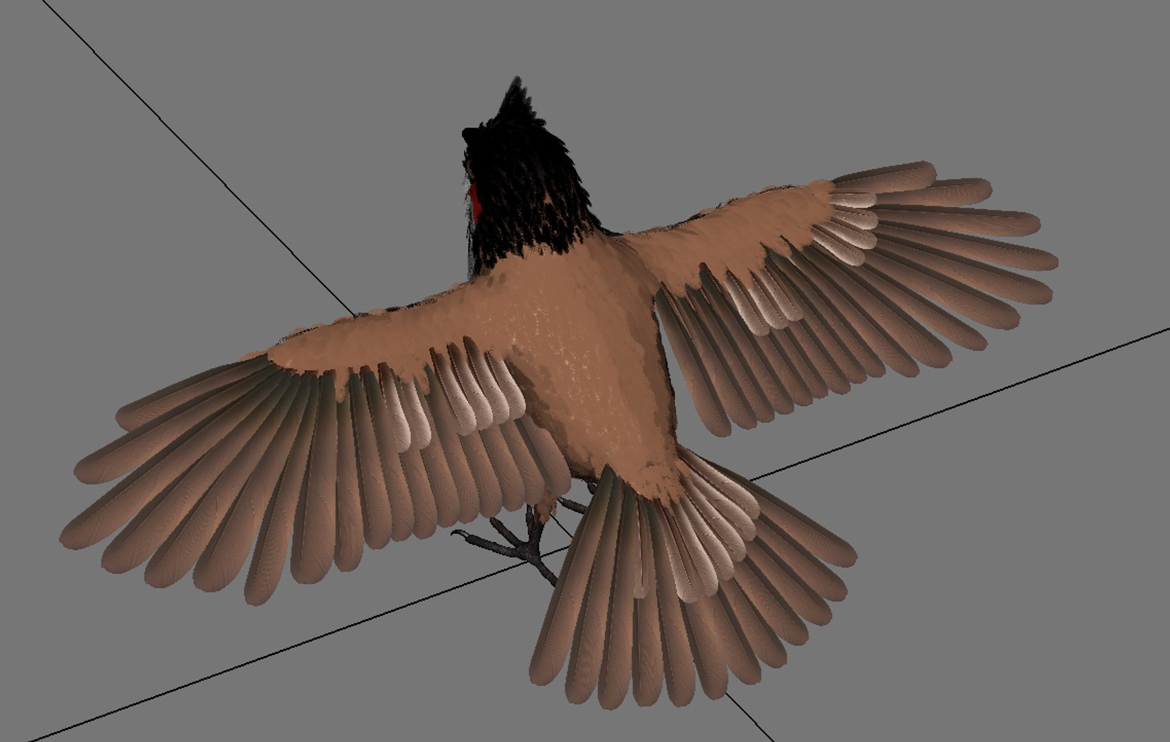 Free Red Whisker Bird Rig 3D Model - TurboSquid 1182098