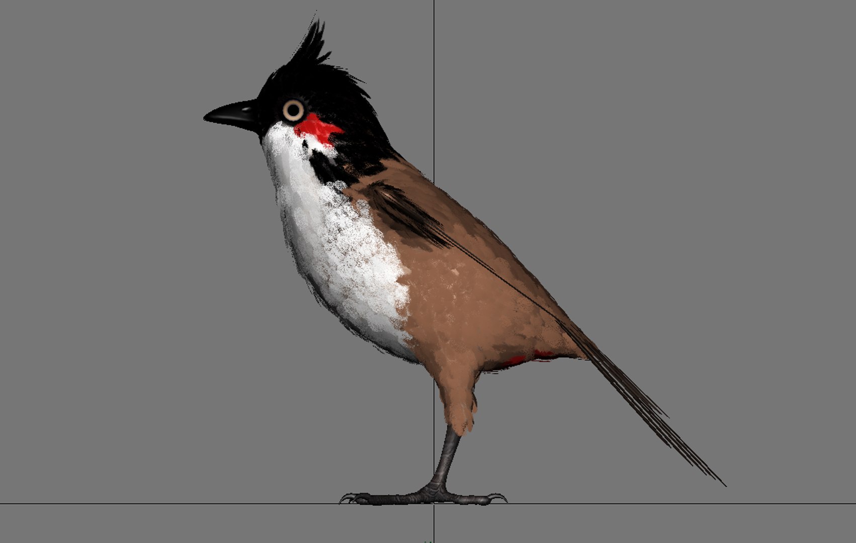 Free Red Whisker Bird Rig 3D Model - TurboSquid 1182098