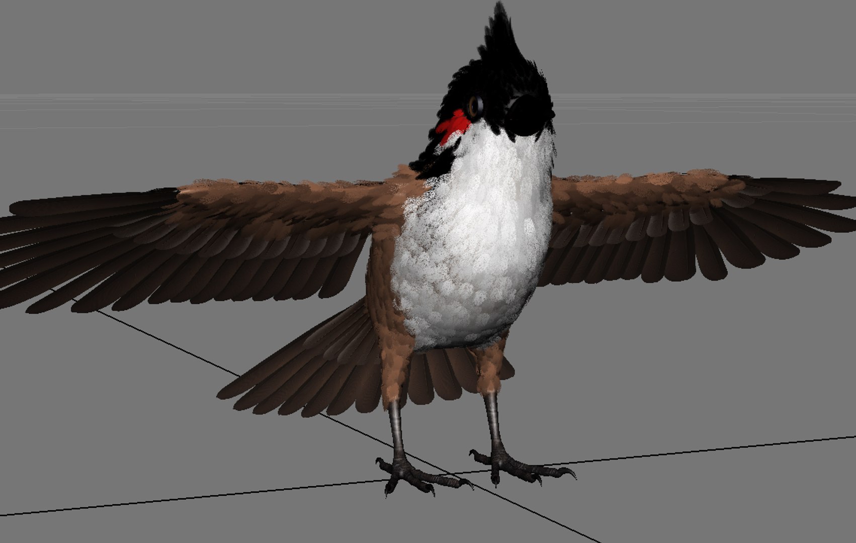 Free Red Whisker Bird Rig 3D Model - TurboSquid 1182098