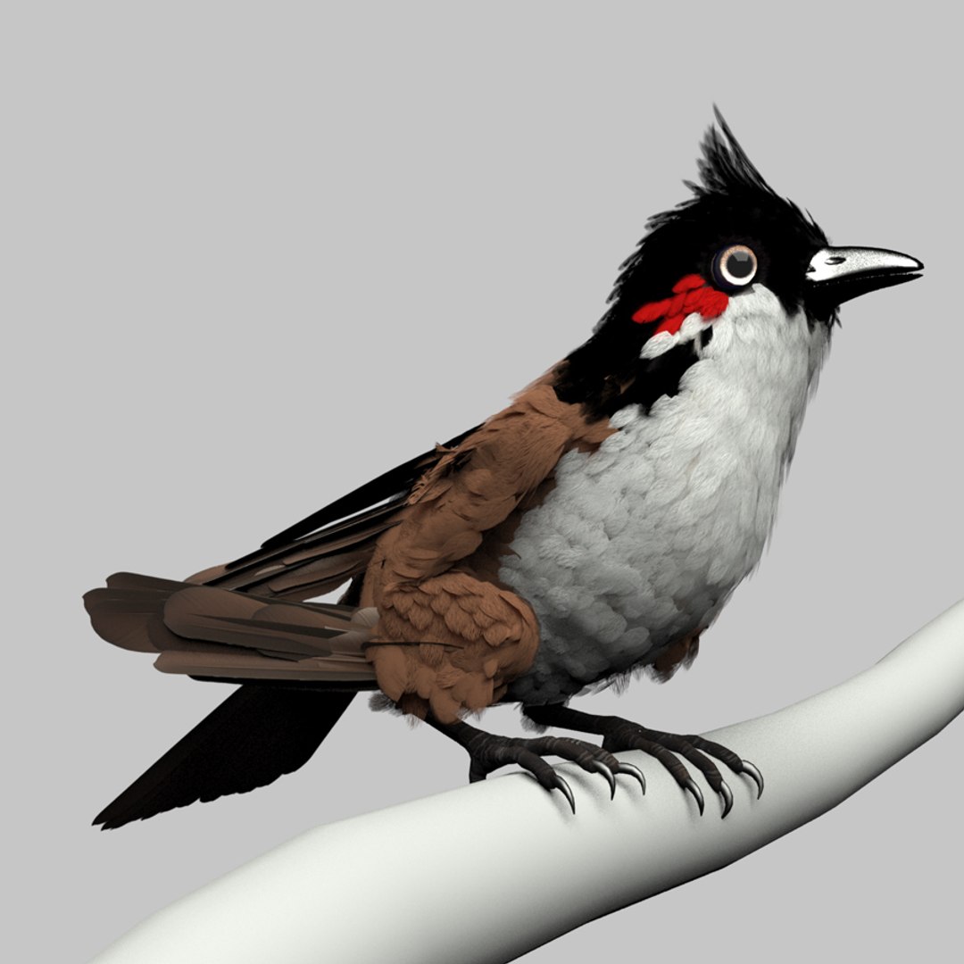 Free Red Whisker Bird Rig 3D Model - TurboSquid 1182098