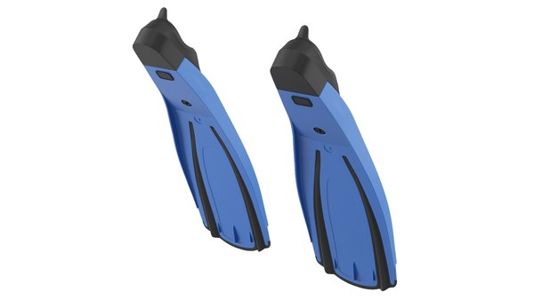 Swim Fins model - TurboSquid 1753535