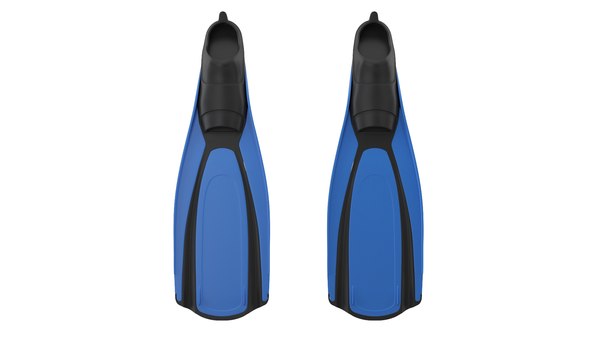modelo 3d Aletas de natacion - TurboSquid 1753535