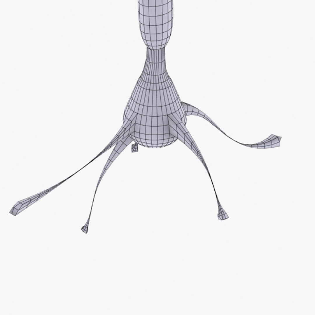 3d Neuron Model
