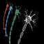 3d Neuron Model