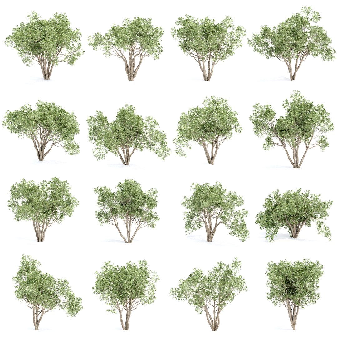 3D Shrubs Collection Vol 241 - TurboSquid 2156295