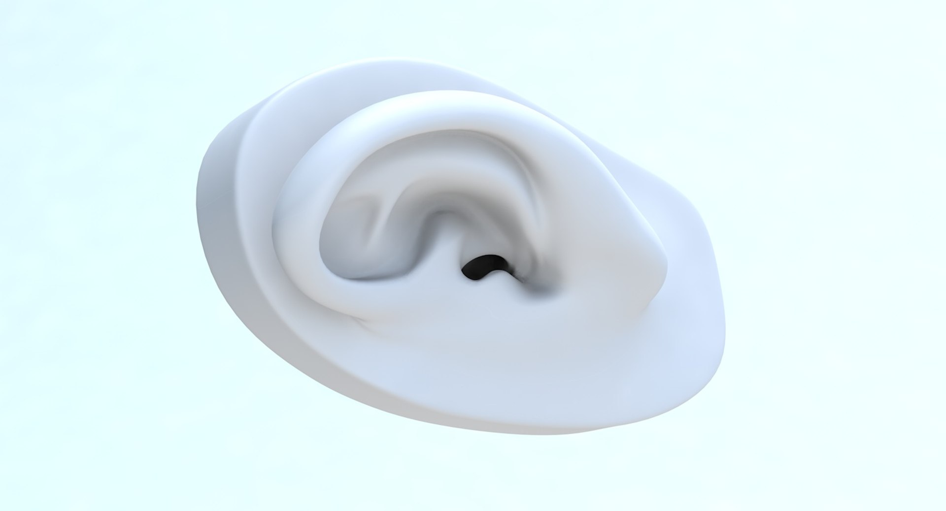 Ear Printed 3D Model - TurboSquid 1207530