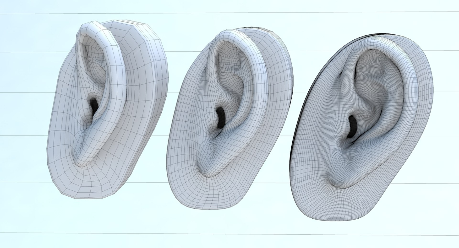 Ear Printed 3D Model - TurboSquid 1207530