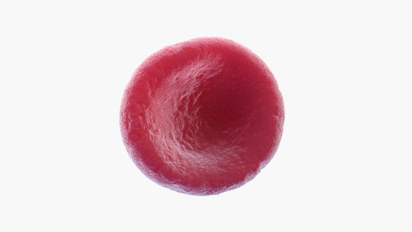 Red Cells 3D model - TurboSquid 1758052