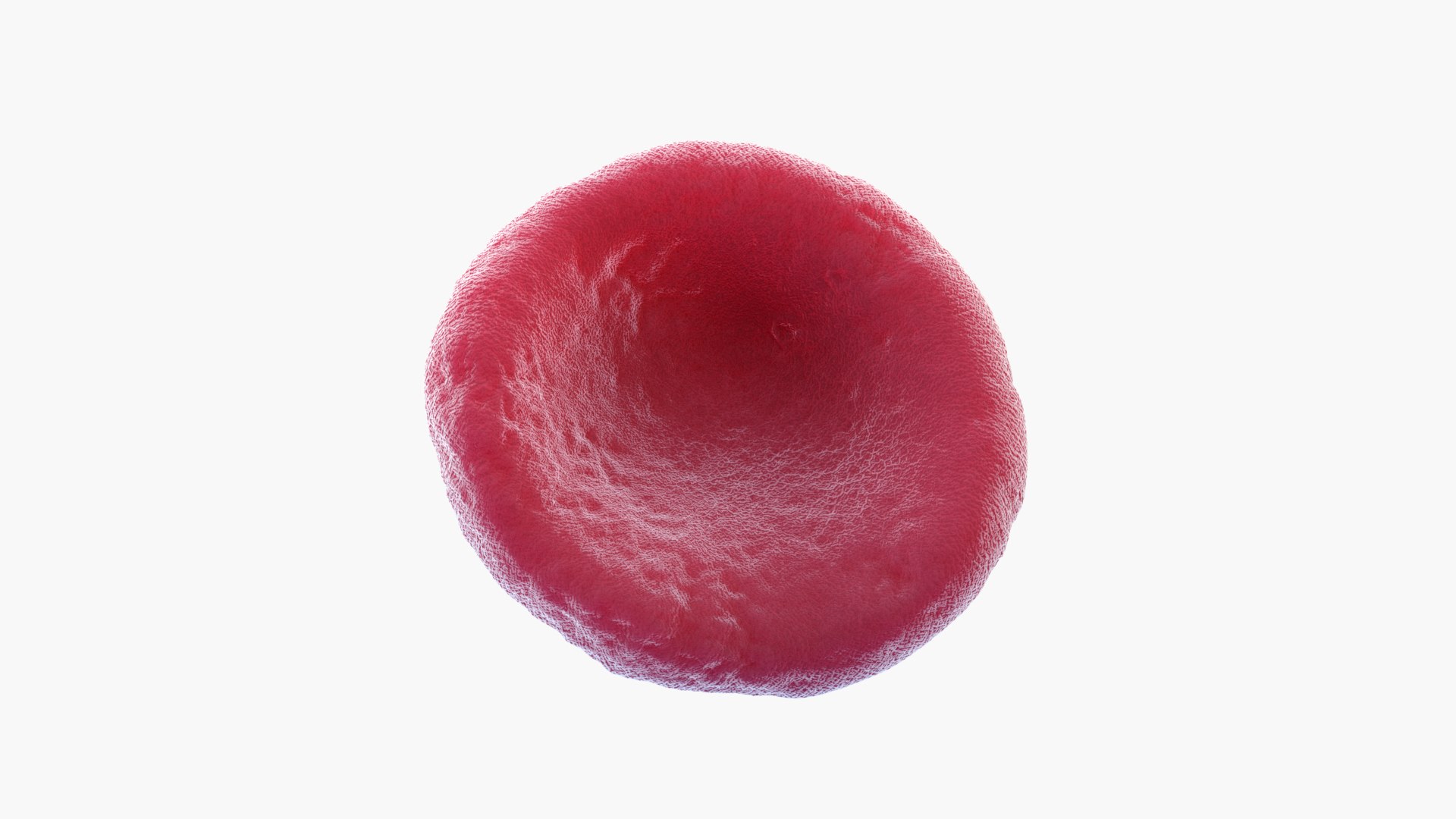Red Cells 3D Model - TurboSquid 1758052
