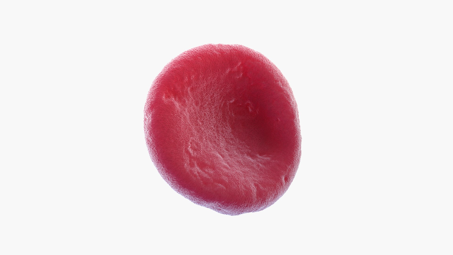 Red Cells 3D Model - TurboSquid 1758052