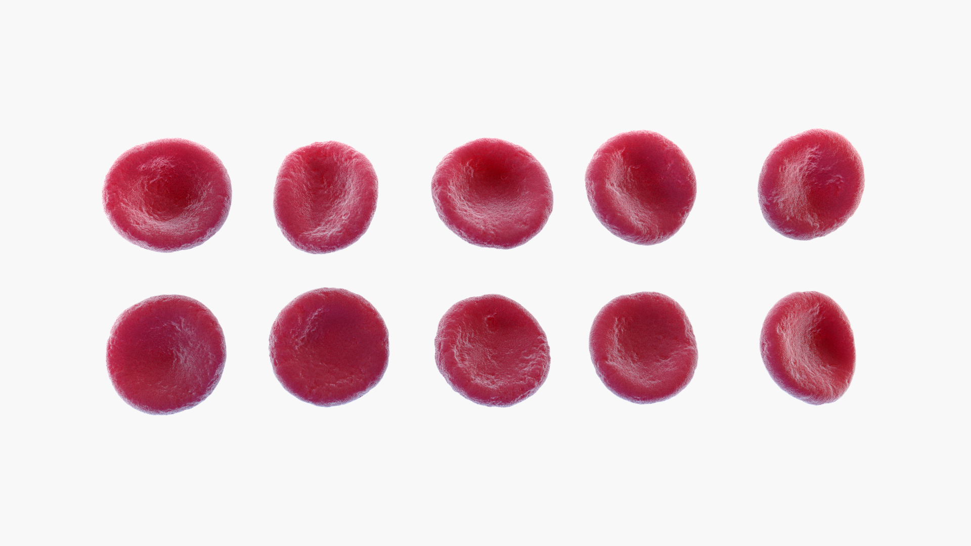 red-cells-3d-model-turbosquid-1758052