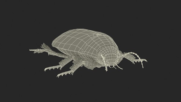 modelo 3d Screech Beetle Negro Realista Aparejado - TurboSquid 2249664