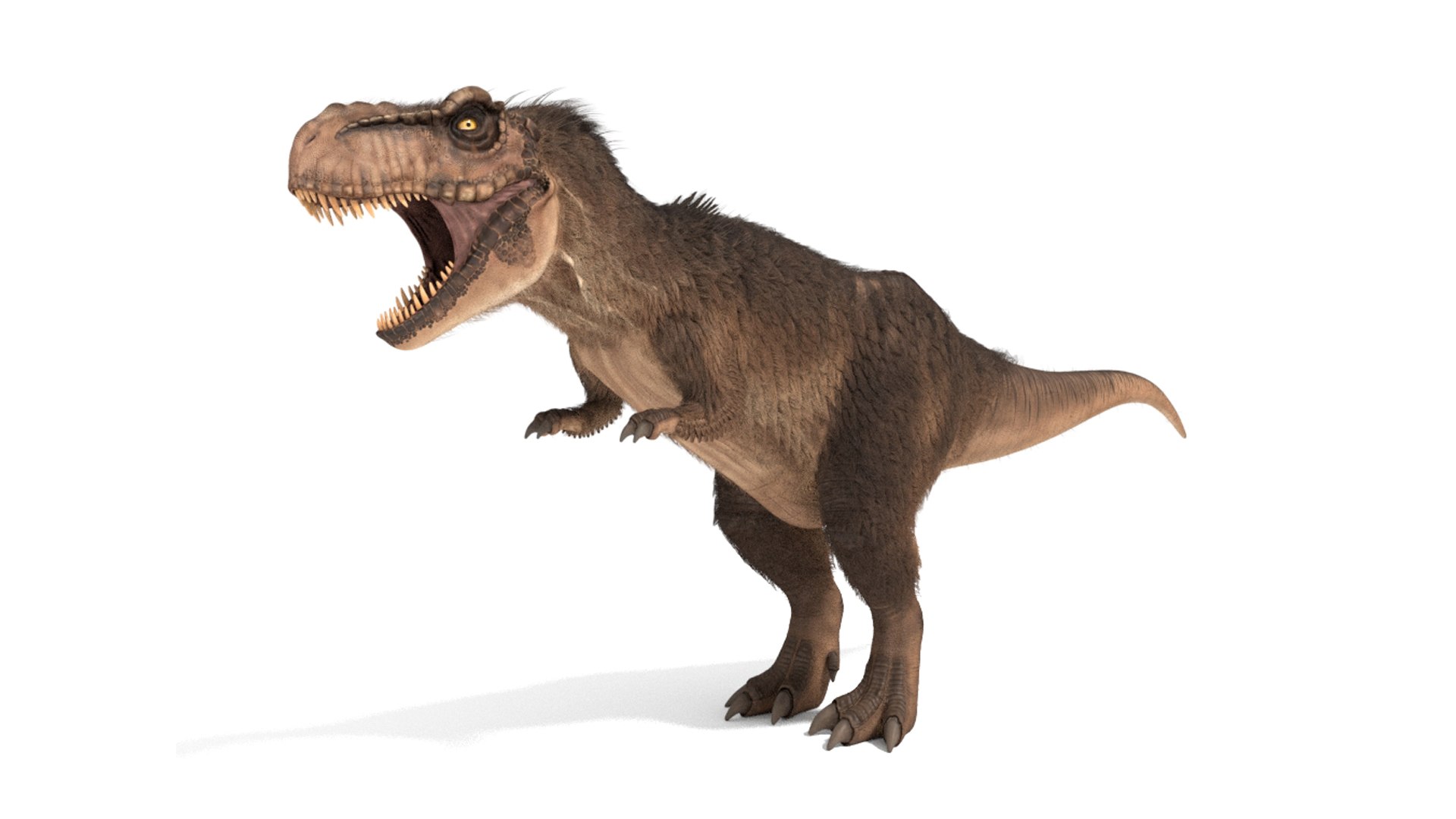 3D tyrannosaurus rex fur - TurboSquid 1559809