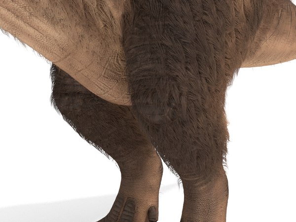 3D tyrannosaurus rex fur - TurboSquid 1559809