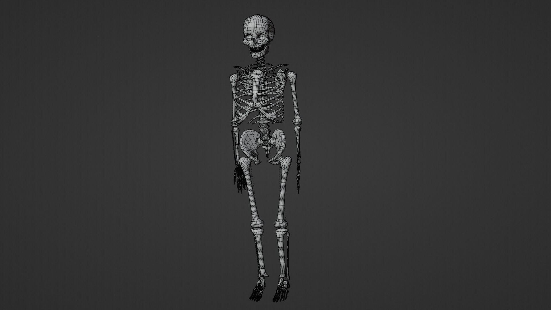 Skeleton 3D Model - TurboSquid 2108219