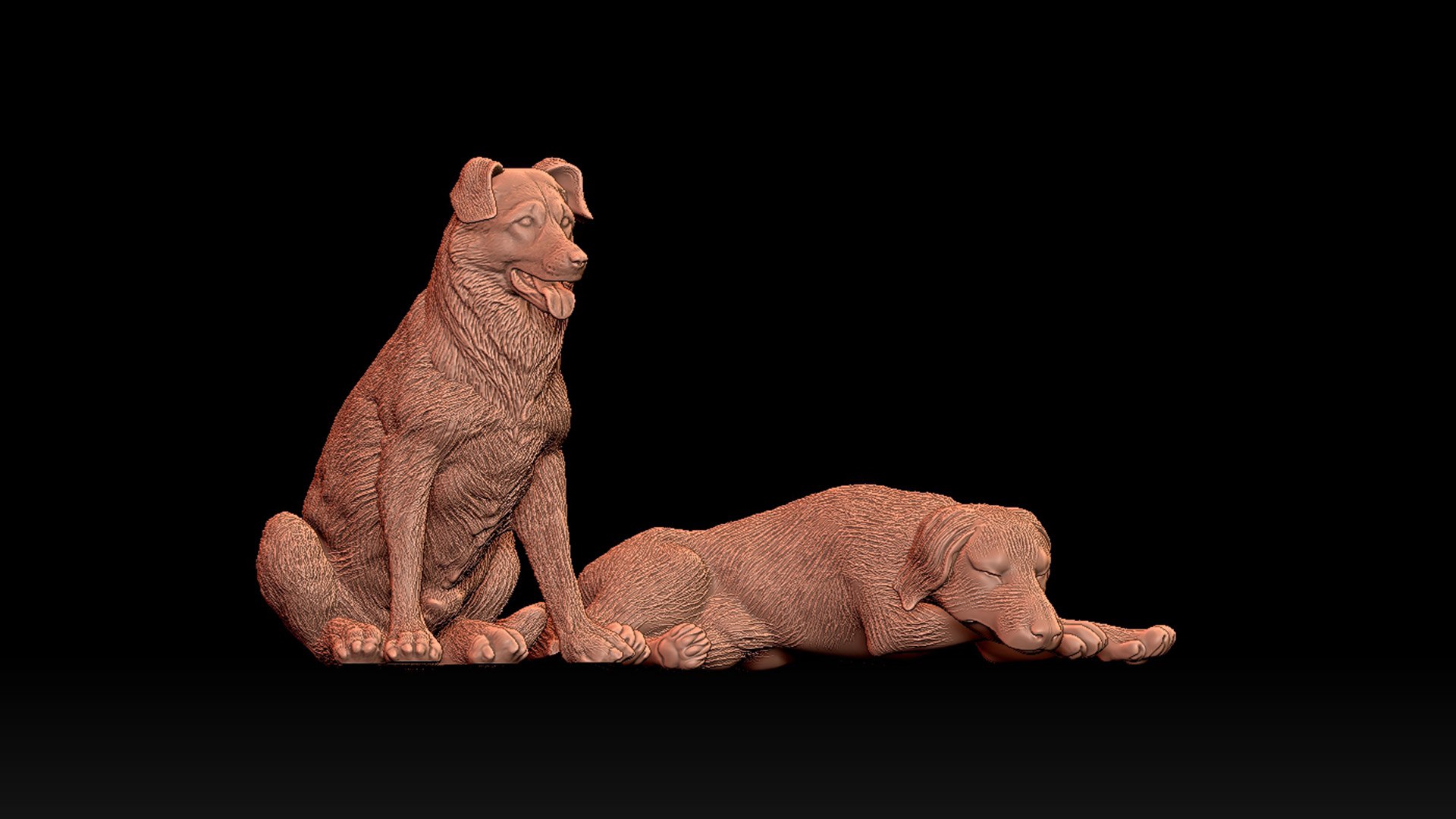 3D Dogs Model - TurboSquid 1901331