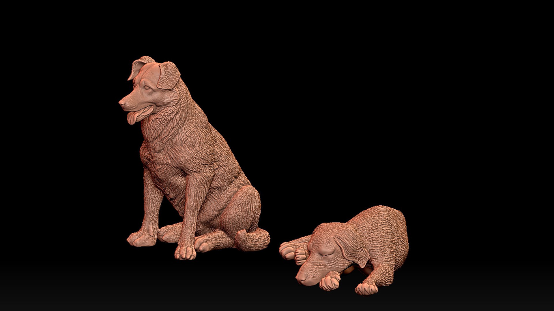 3D Dogs Model - TurboSquid 1901331