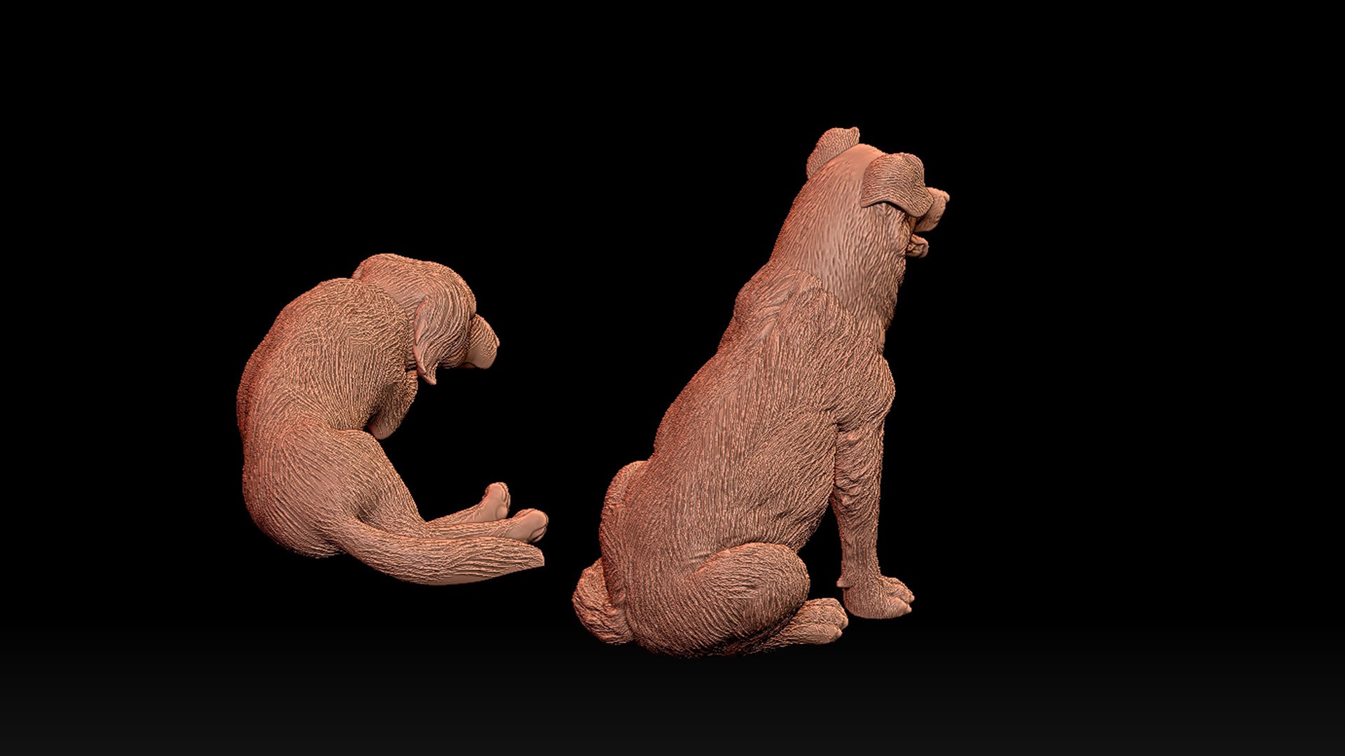 3D Dogs Model - TurboSquid 1901331