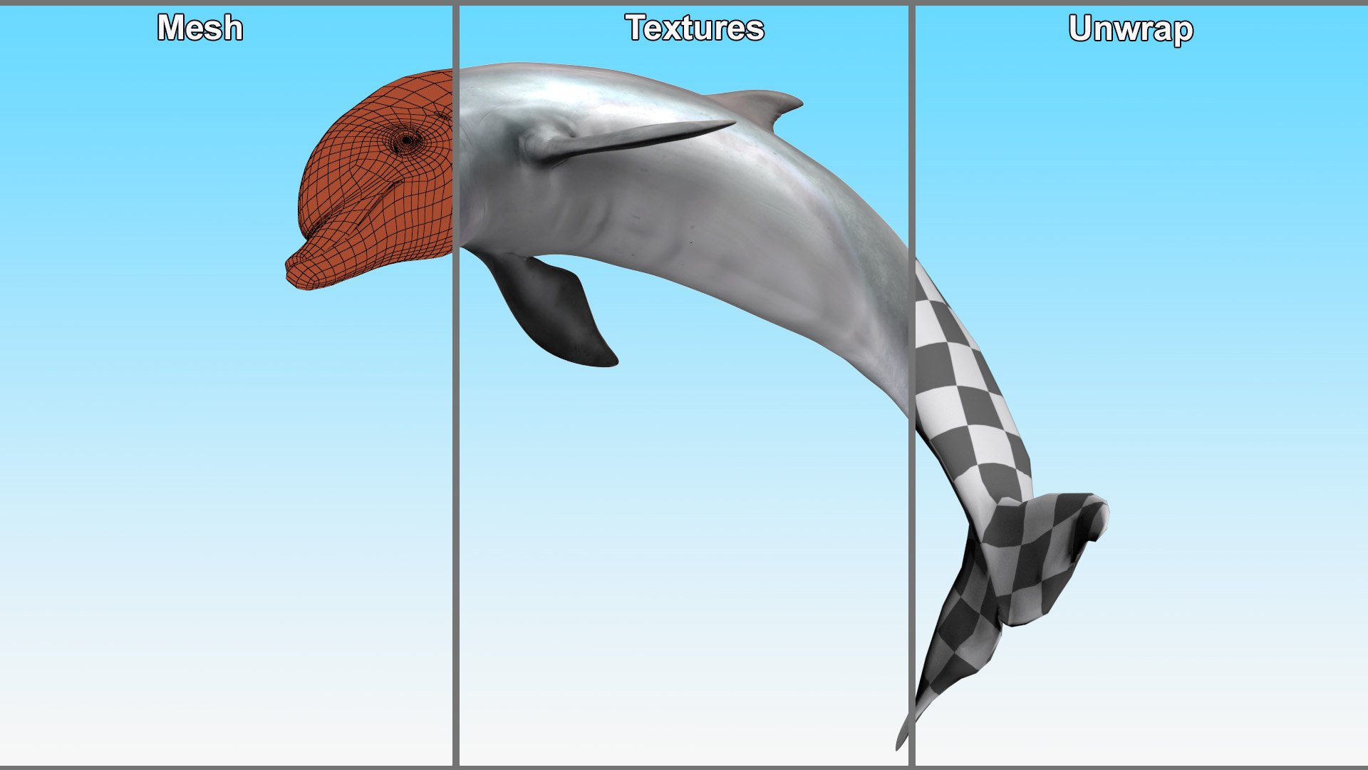 Realistic Bottlenose Dolphin Jump Model - TurboSquid 2265172