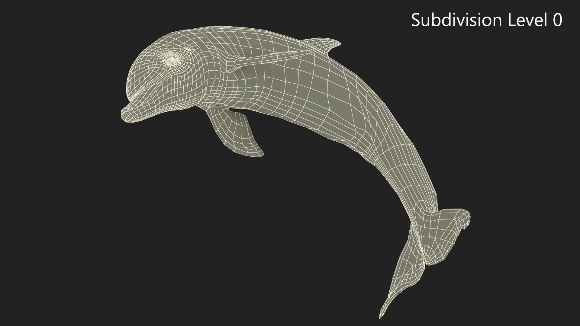 Realistic Bottlenose Dolphin Jump Model - TurboSquid 2265172
