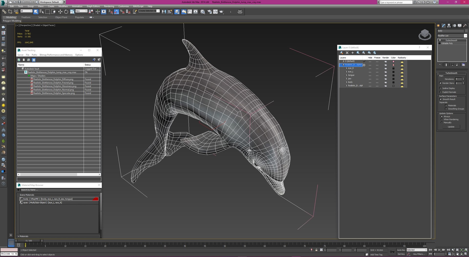 Realistic Bottlenose Dolphin Jump Model - TurboSquid 2265172