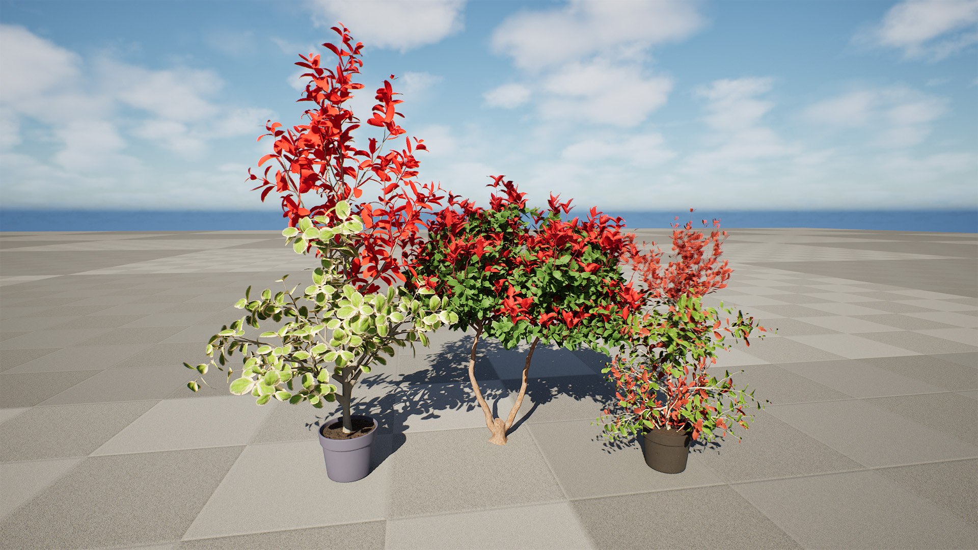 3D Realistic Photinia Potted Plant Model - TurboSquid 2242252