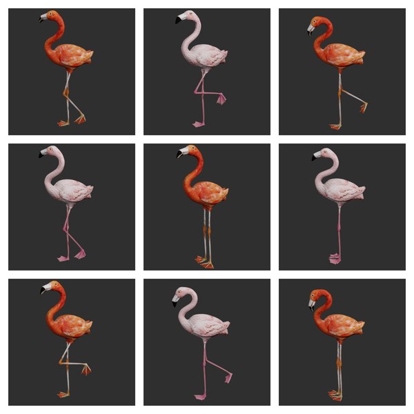 3d max flamingo pink bird