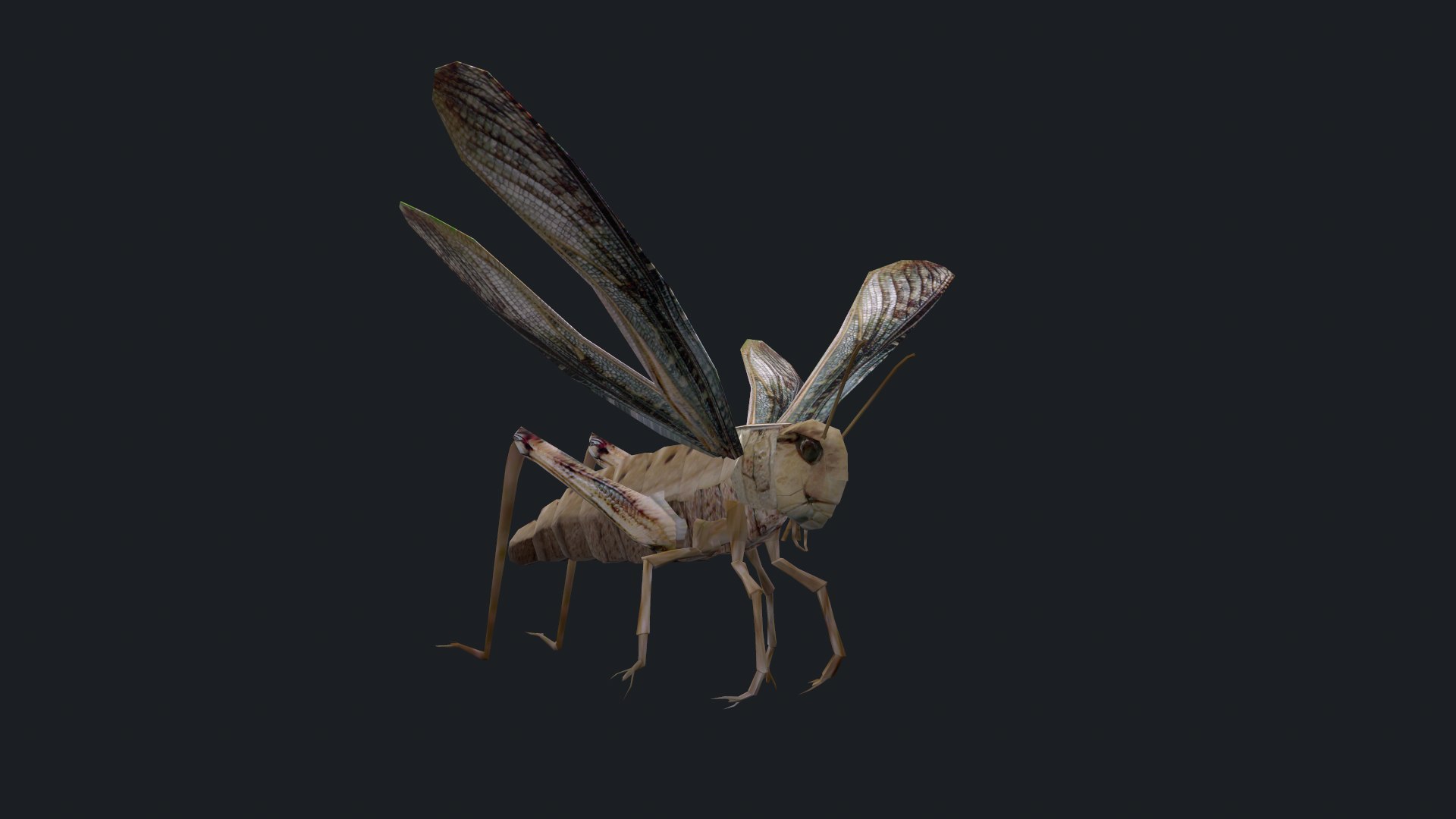 3D Animated Locust Grasshopper - TurboSquid 2248885