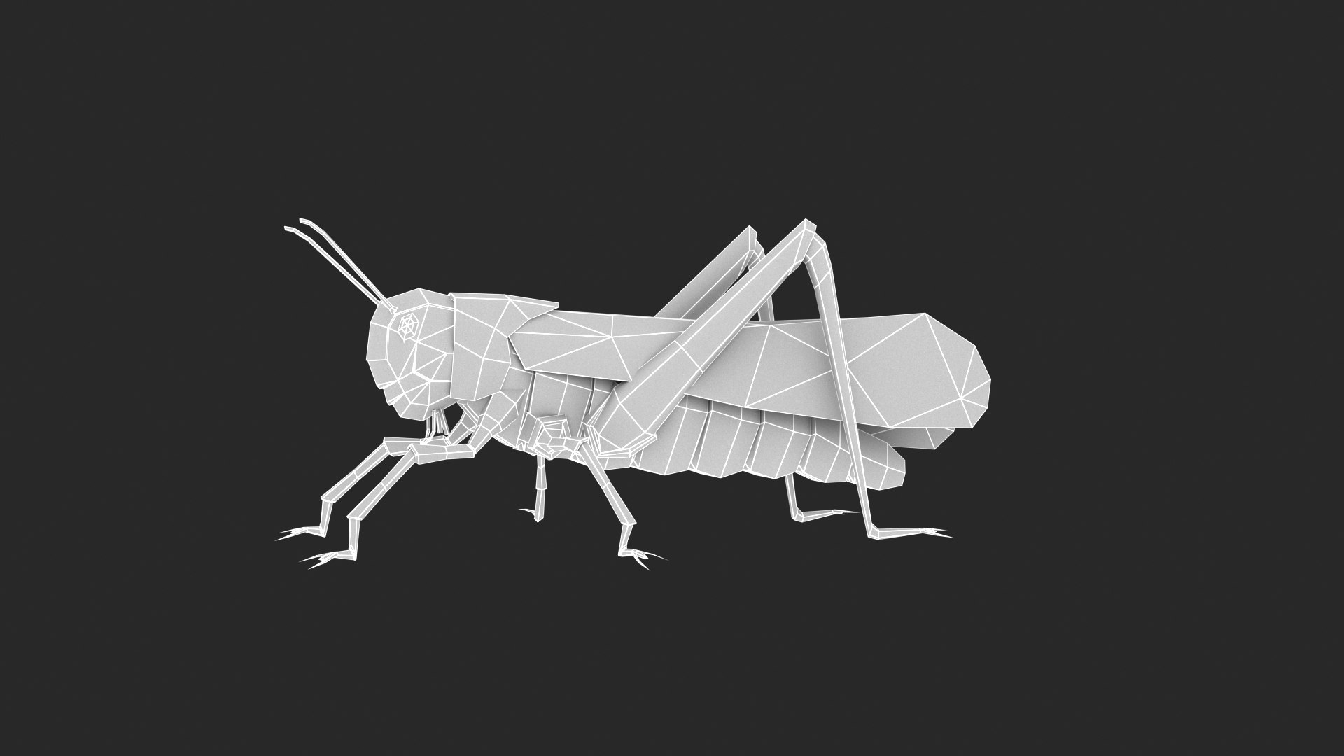 3D Animated Locust Grasshopper - TurboSquid 2248885