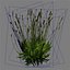 3d Pc Grass