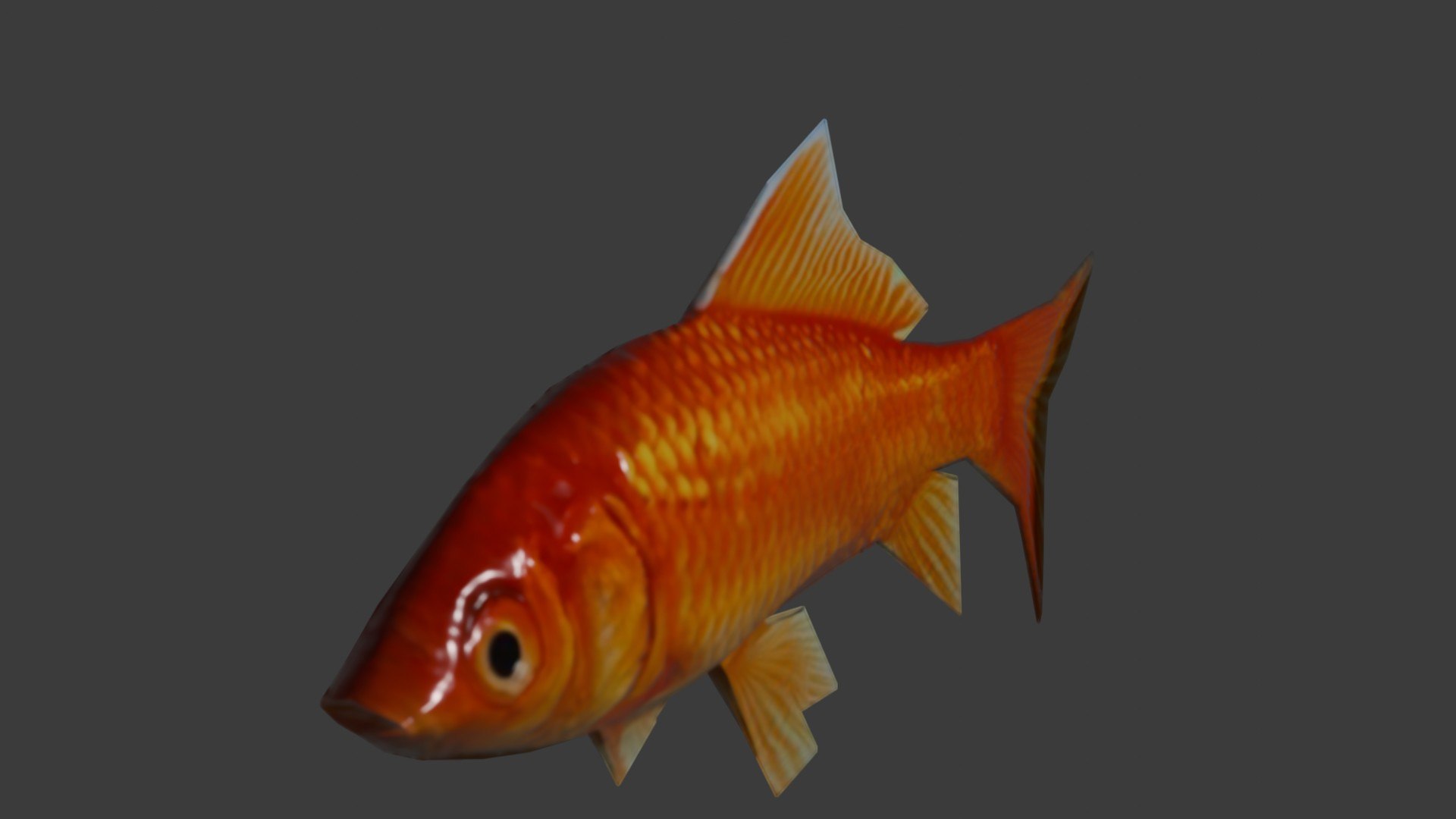 3D 3D Low Poly Goldfish Animated - TurboSquid 2252504